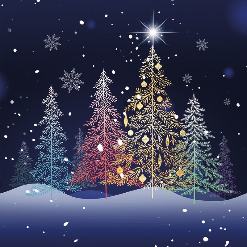 Colourful Christmas Trees | OCD-UK