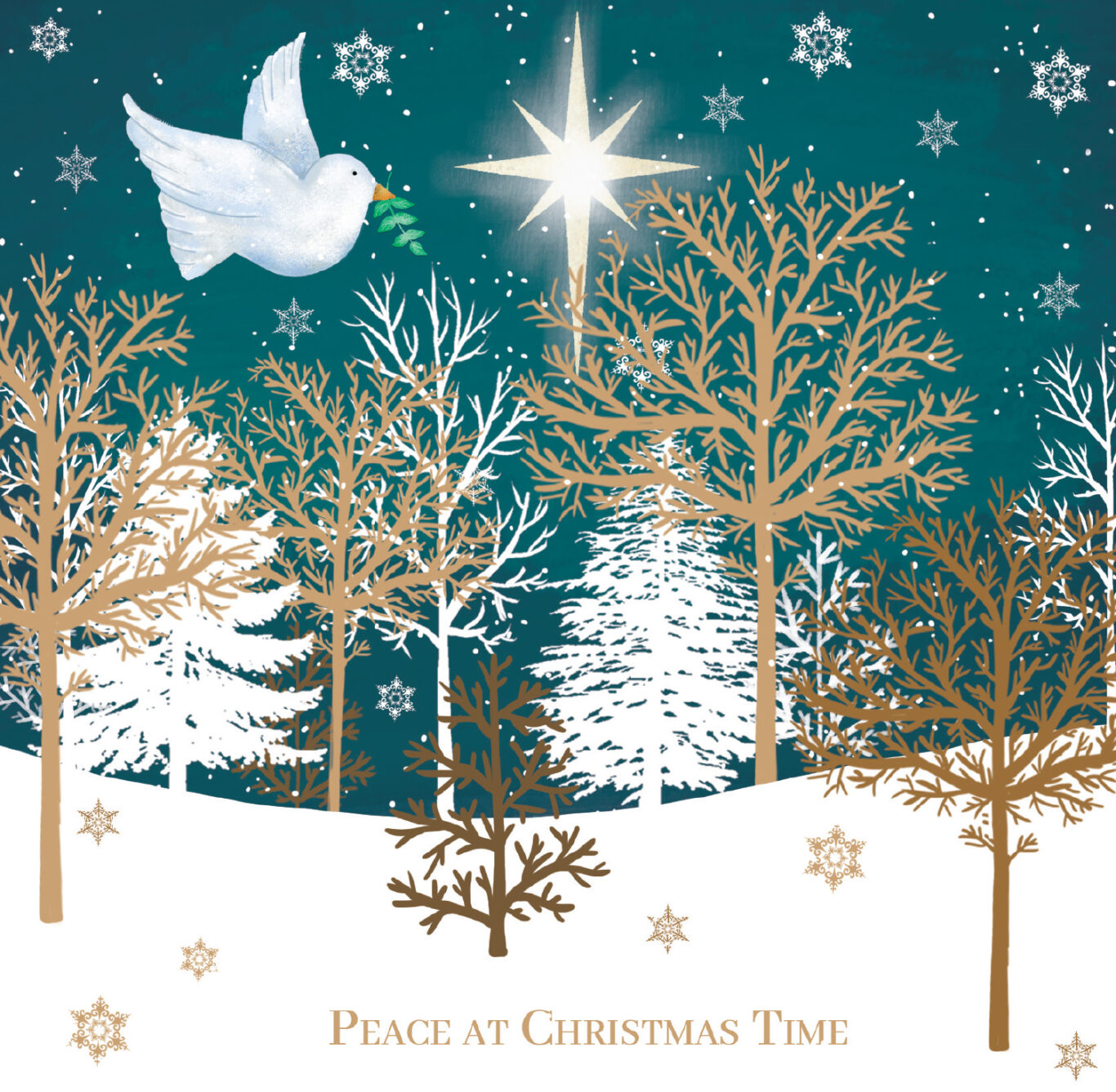 Peace at Christmas Time | OCD-UK