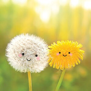 Flower Faces | OCD-UK